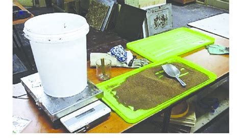 Ground Macadamia Shells Download Scientific Diagram