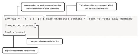 How The Function Of Code Bash Is Vulnerable In The Environment