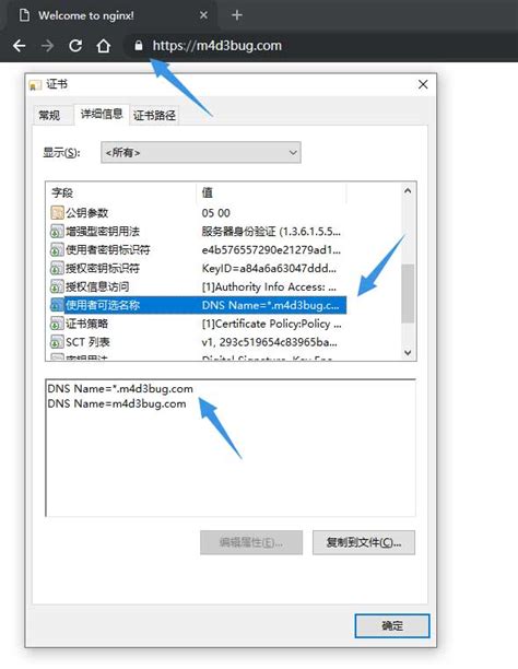 使用acmesh与阿里云dns签发lets Encrypt的免费数字证书 Ngx Project Ngxhk