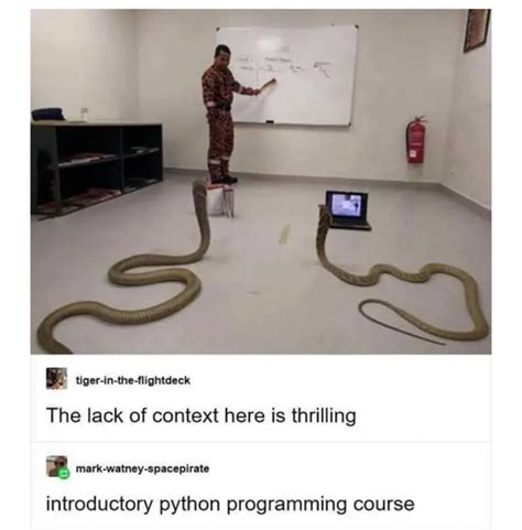 Richard Beaudoin On Linkedin Why Does Python Live On Land Because It Is Above C Level