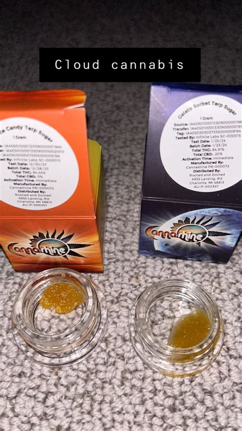 Hash Bash Treasure Map Haul So Far Rmichigents