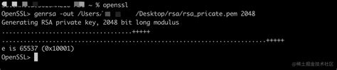 Jsrsasign 前端 Rsa 加密 Node 端解密有些场景下需要前端做加密，比如登录的时候，用户输入的密码需要传输 掘金