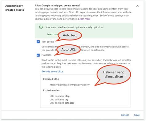 Fungsi Asset Group Dan Audience Signal Dalam P Max