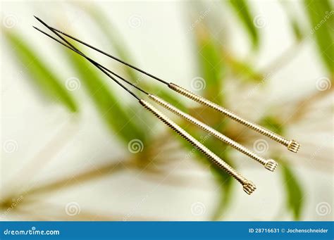 Acupuncture Needle On Head Model Royalty Free Stock Image
