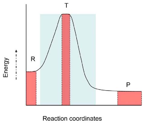 Diagram Of A Reaction Showing The Energy Niveau With Reaction Download Scientific Diagram