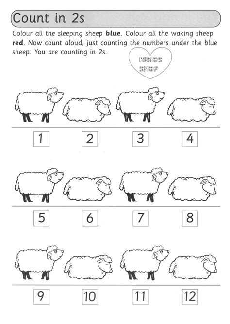 Book Activity Colouring Duck Counts Sheep NINOS SHOP