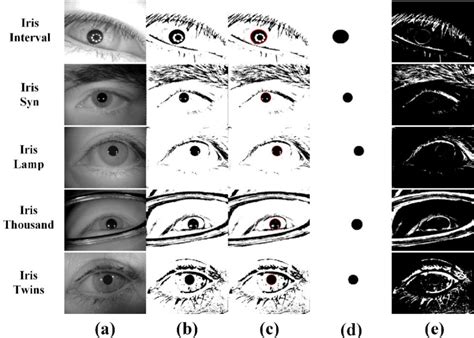 Sip Segnet A Deep Convolutional Encoder Decoder Network For Joint