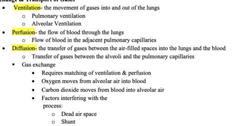 PATHO Ch 29 Structure And Function Of The Respiratory System