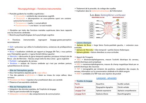 Neuropsychologie Fonctions Instrumentales Neuropsychologie