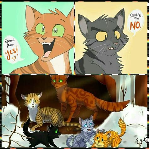 Guerrieri Gatti Meme