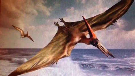 Pterodactyl Sightings The Crypto Crew