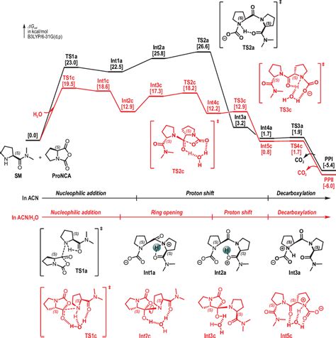 Figure 3 From Water Assisted And Protein Initiated Fast And Controlled Ring Opening