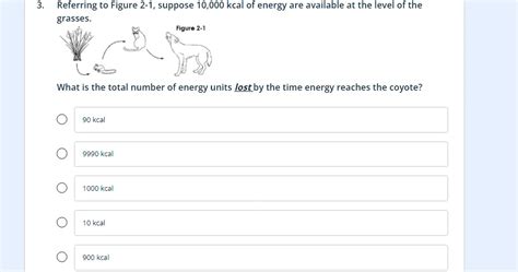 3 Referring To Figure 2 1 Suppose 10000 Kcal Of Energy Are Available At