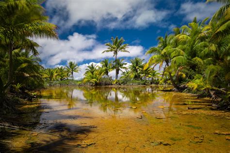 The Islands Visit Pitcairn — Visit Pitcairn Open To Explore
