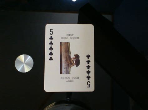 Playing Card Detection Object Detection Dataset By Playingcard