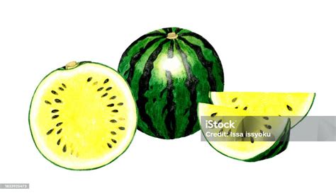 잘라낸 노란색 수박의 클립 아트입니다 여름 과일의 손으로 그린 수채화 그림입니다 건강한 식생활에 대한 스톡 벡터 아트 및 기타 이미지 건강한 식생활 과수원 과식주의