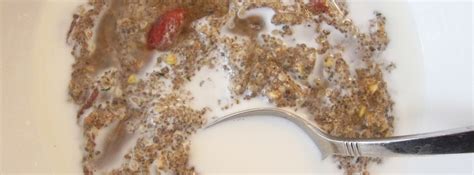 Healthy Breakfast Cereal Warm Chia Hemp Super Cerealrobins Key
