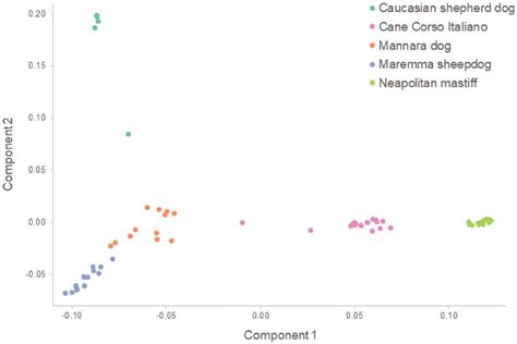 plot of the multidimensional scaling analysis mds each dot