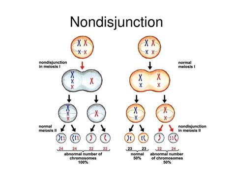 Human Genetics Part Ppt Download