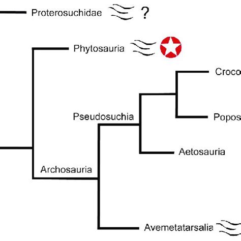 Stratigraphic Range Of Archosaur Body Fossils And Footprints Discussed Download Scientific