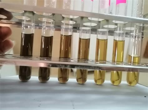 When Using Anthrone Method For Carbohydrate Estimation Green Color Is