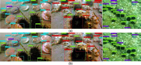 Real Time Marine Target Recognition Method Of Underwater Inspection Robot Based On Computer