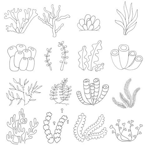 海底植物简笔画图片 千姿百态 简笔画