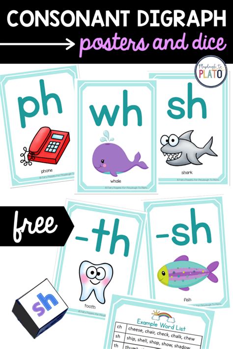 Digraph Posters And Dice Two Fun Tools To Teach Tricky Sounds