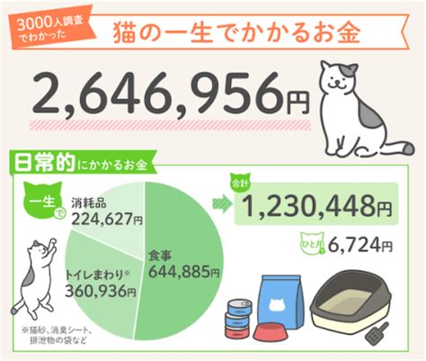 猫を飼うのにかかるお金は生涯でどれくらい？ 猫を飼う3000人に聞いた調査結果は？