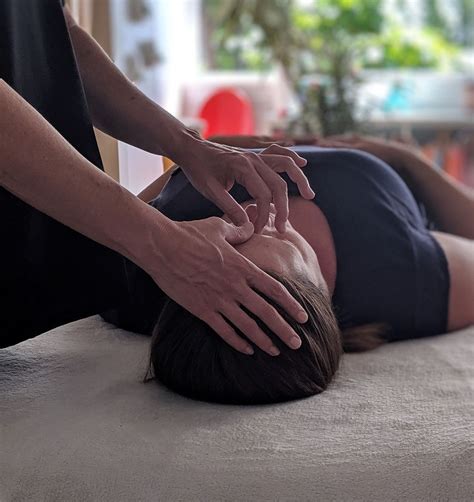 2025 的 57 个 Cranio Sacral Therapy 点子 解剖學 物理治療 人体系统