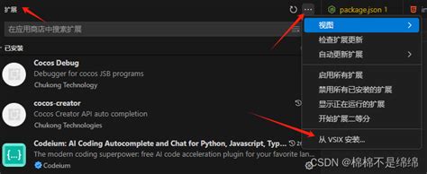 Vscode中使用codeium 真的太好用了，免费的ai代码工具vscode Codeium Csdn博客