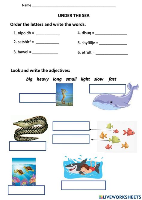 Under The Sea Interactive Worksheet For Grade 3 And 4 Live Worksheets Library