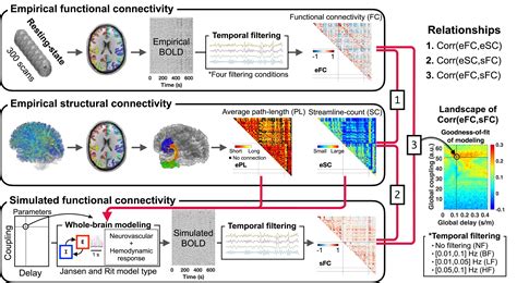 Human Brain Project Researchers Improve Parkinsons Disease Classification