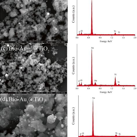 fe sem micrographs and edx spectra of bio tio2 a and bio aux tio2