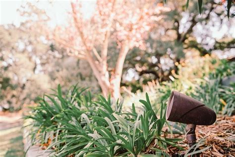 Top Tips For Outdoor Speaker Solutions Blog