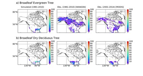 Spatial Distribution Of A Broadleaf Evergreen Tree And B Broadleaf Download Scientific