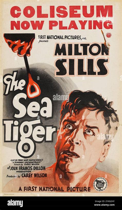 The Sea Tiger First National Window Card X Drama Starring Milton Sills