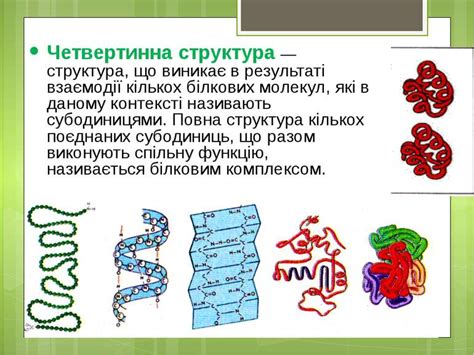 Білки презентація з біології