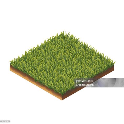 Grass Pattern Isometric High Res Vector Graphic Getty Images