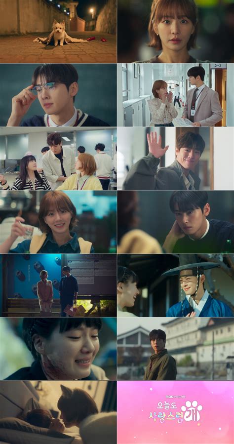 오늘도 사랑스럽개 D 1 차은우·박규영 멍냥꽁냥 로맨스 서막