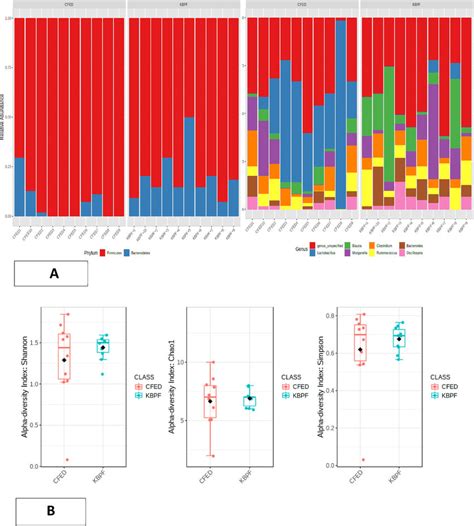 Microbiome Composition Of Mice Supplemented With High Dose Of Kbpf Download Scientific Diagram