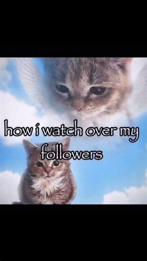 Weenis Toucher Weenis Toucher • Instagram Photos And Videos