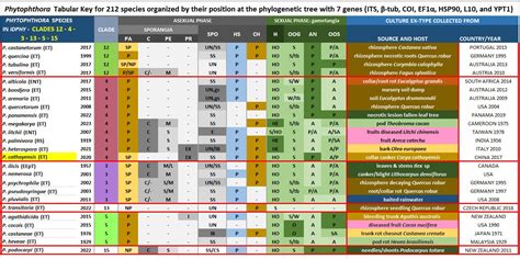 Phytophthora Cathayensis Idphy