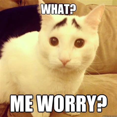 Signs You Might Be Over Stressed — Fleurish Psychotherapy