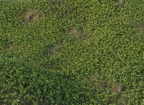 Grass Grass Models Blenderkit