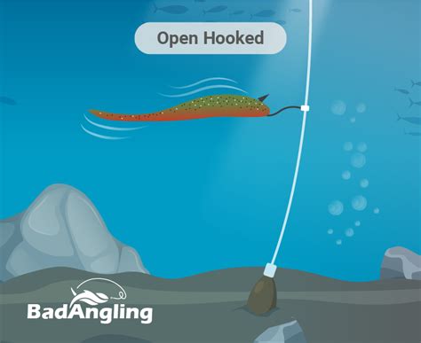 Mastering Bass Fishing Drop Shot Rig Explained BadAngling
