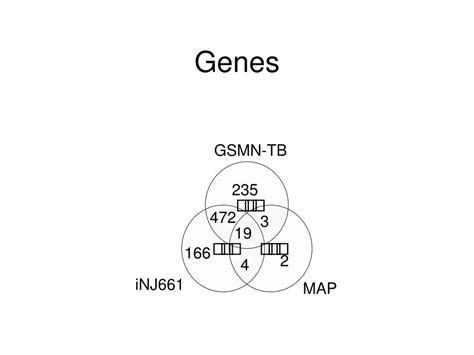 Ppt From Annotated Genomes To Metabolic Flux Models Powerpoint Presentation Id1773880