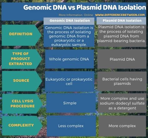 Difference Between Genomic Dna And Plasmid Dna Isolation Compare The Difference Between