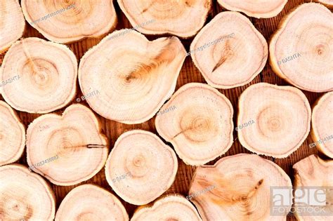 Texture Of Cross Section Wood Logs Pattern Of Juniper Tree Stump