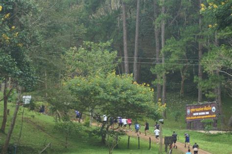 อุทยานแห่งชาติแม่โถ